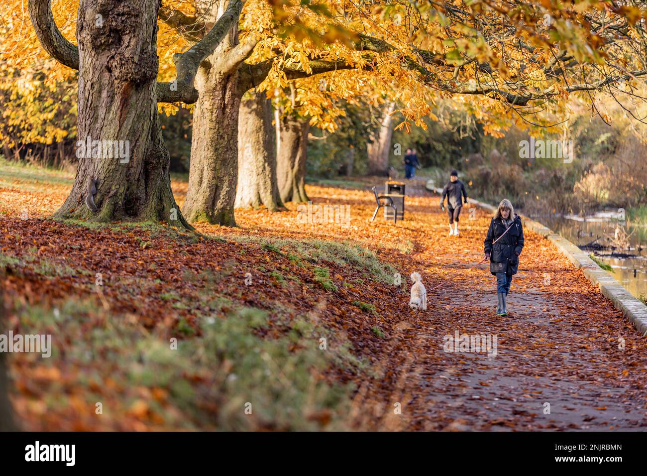 Watford local area photography, England, UK Stock Photo - Alamy
