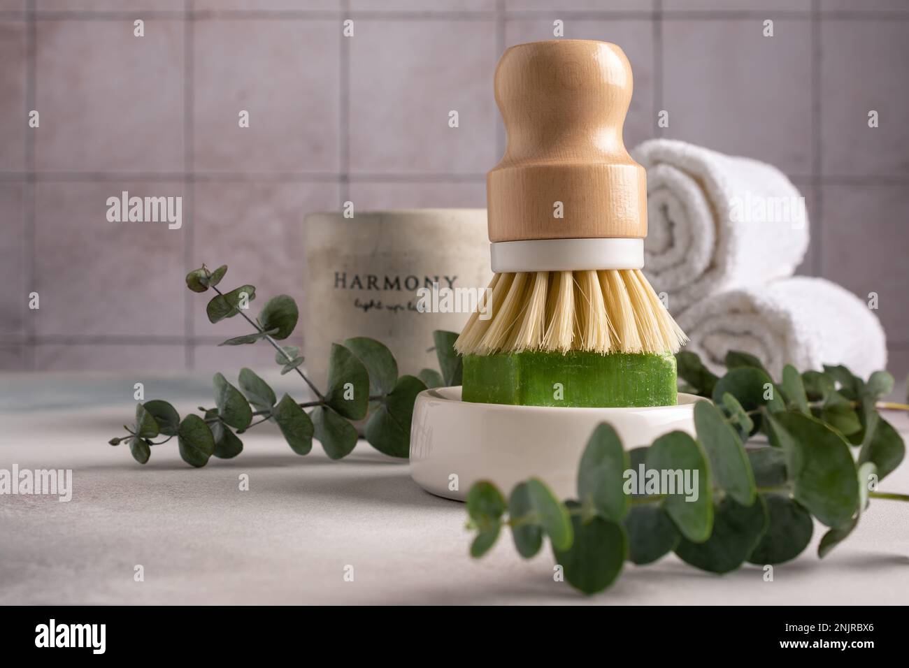 Eco friendly concept cleaners with dish brush and solid eucalyptus soap ...