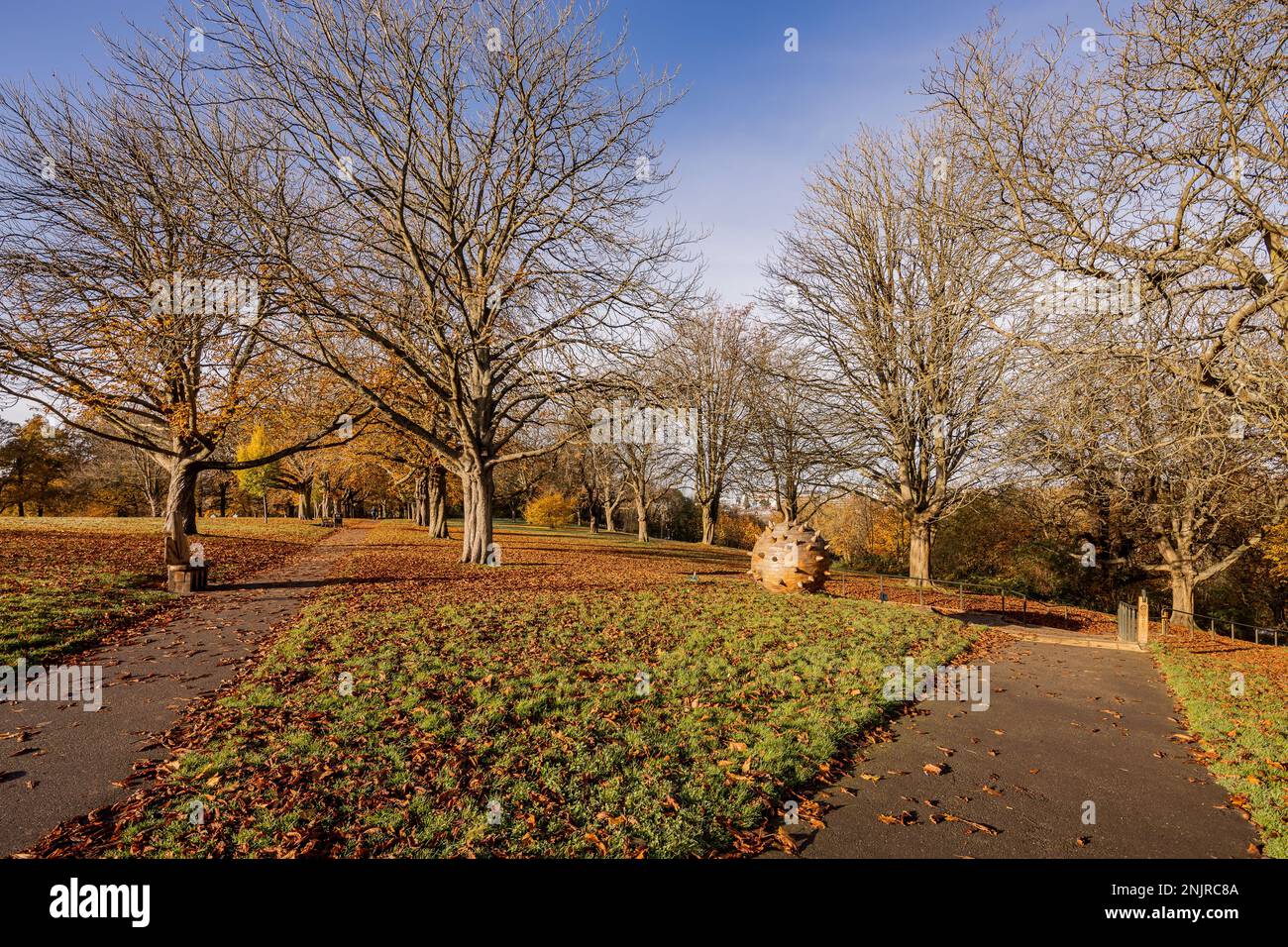 Watford local area photography, England, UK Stock Photo - Alamy
