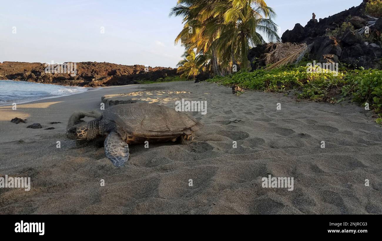In this undated photo provided by the U.S. National Park Service, an ...
