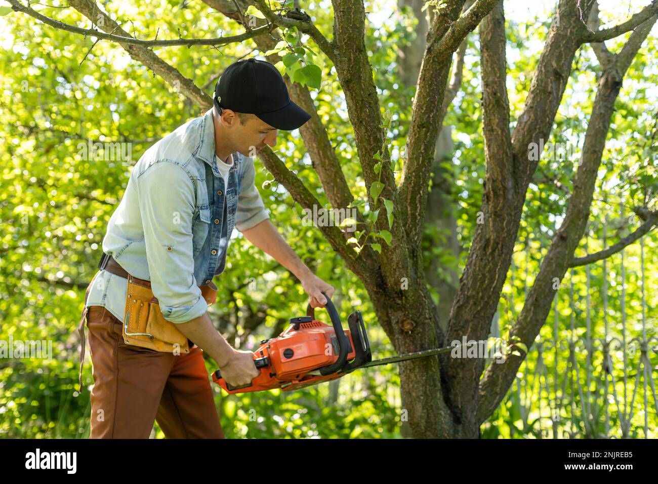 Man cutting a branch with chainsaw Stock Photo - Alamy