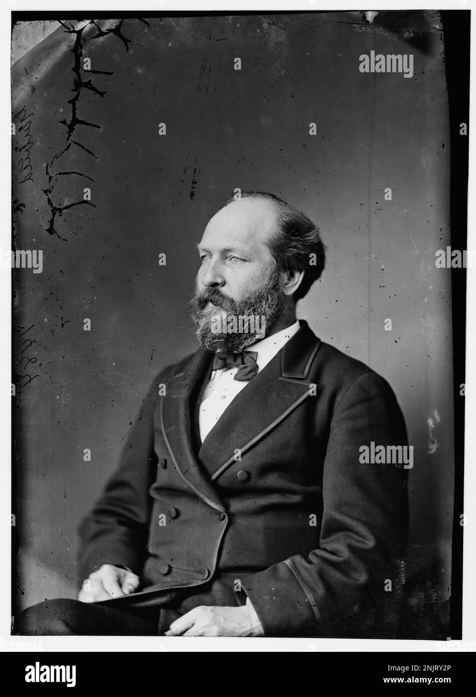 Portrait of President James Garfield, the 20th President of the United ...