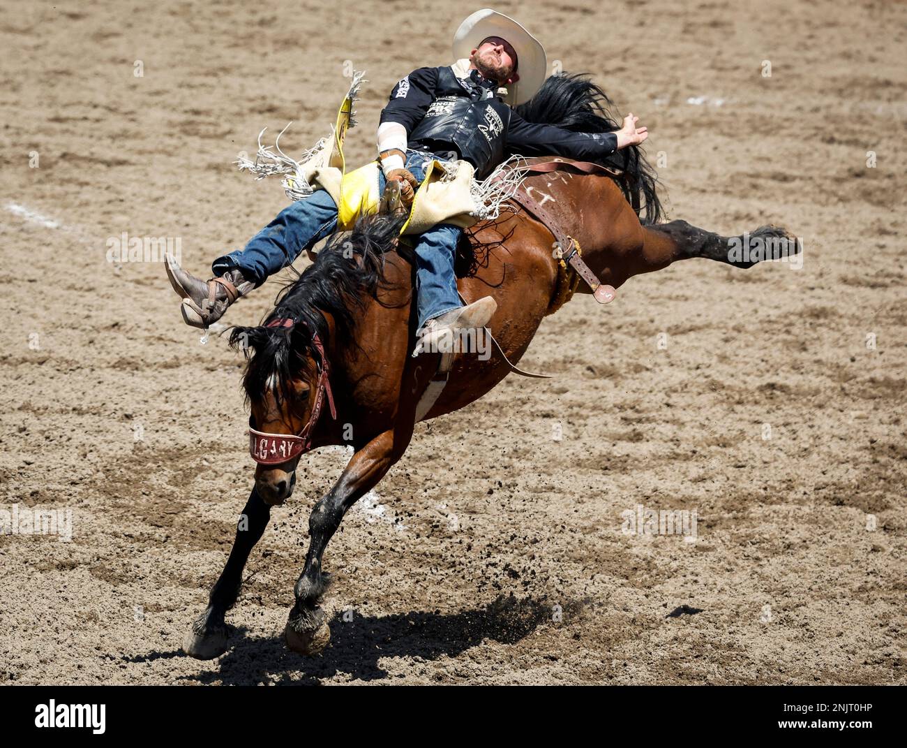 R.C. Landingham, of Hat Creek, Calif., rides Arbitrator Joe during ...