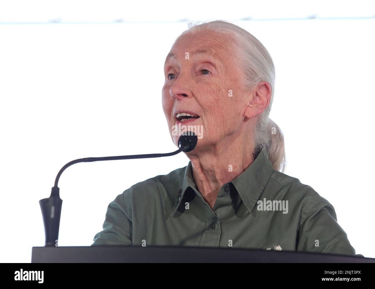 Dr. Jane Goodall addresses the crowd in Sudbury, as Goodall and ...