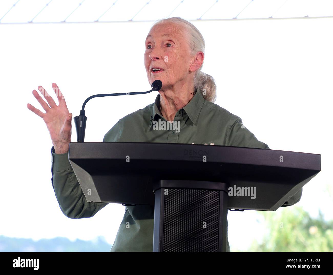 Dr. Jane Goodall addresses the crowd in Sudbury, Goodall and Canadian ...