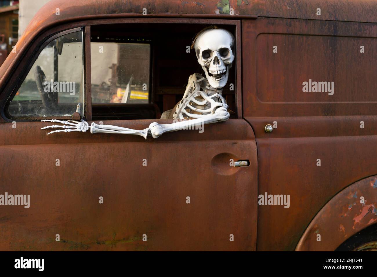Human skeleton sitting in a rusty old car and looking out of the window ...
