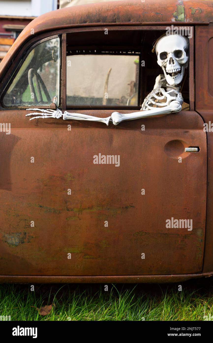 Human skeleton sitting in a rusty old car and looking out of the window ...