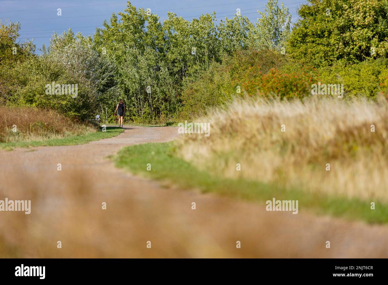 Waltham Abbey Local Area Photography Stock Photo - Alamy