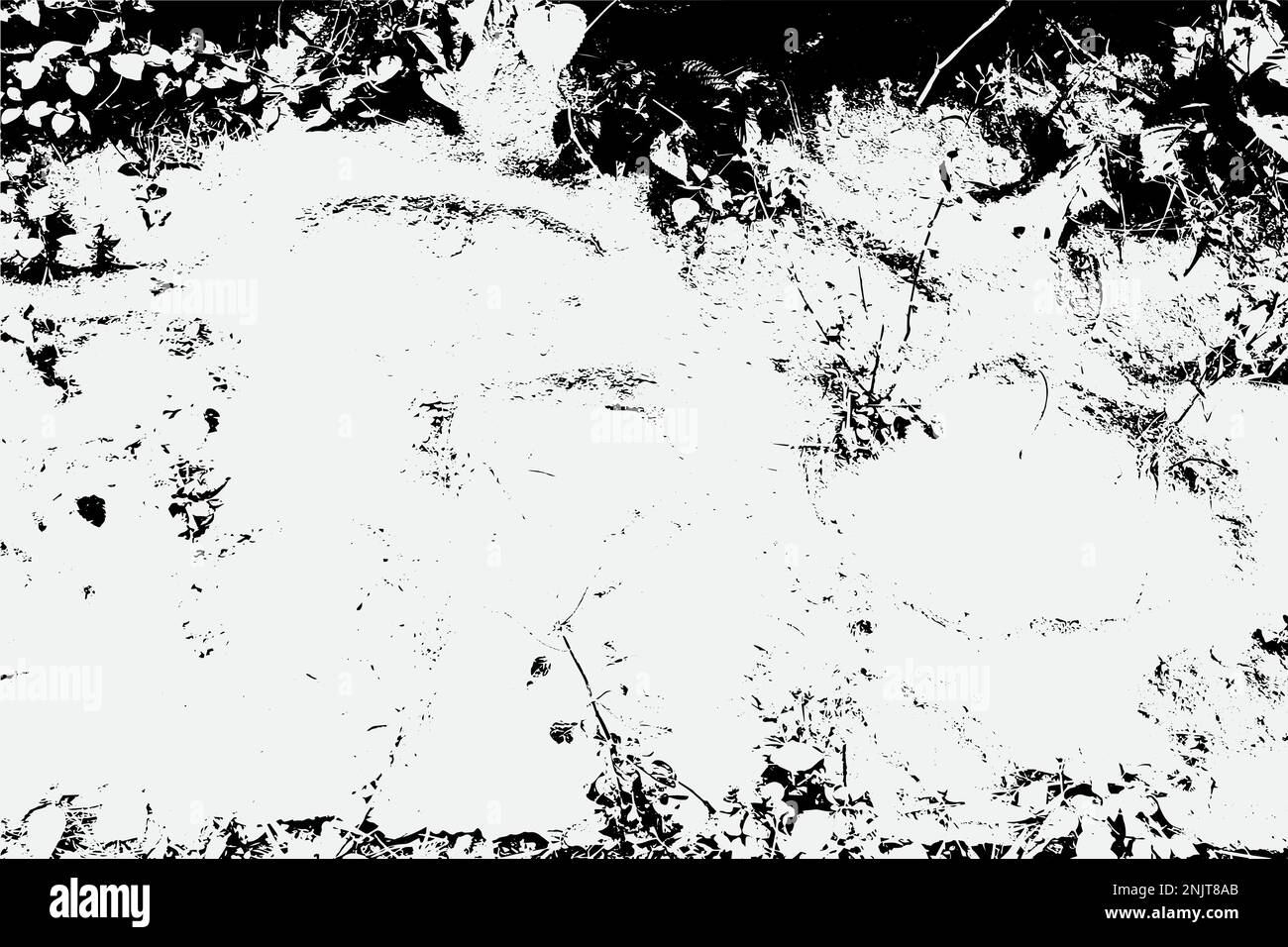 black and white fleck texture, Artistic and natural Texture With Vector ...