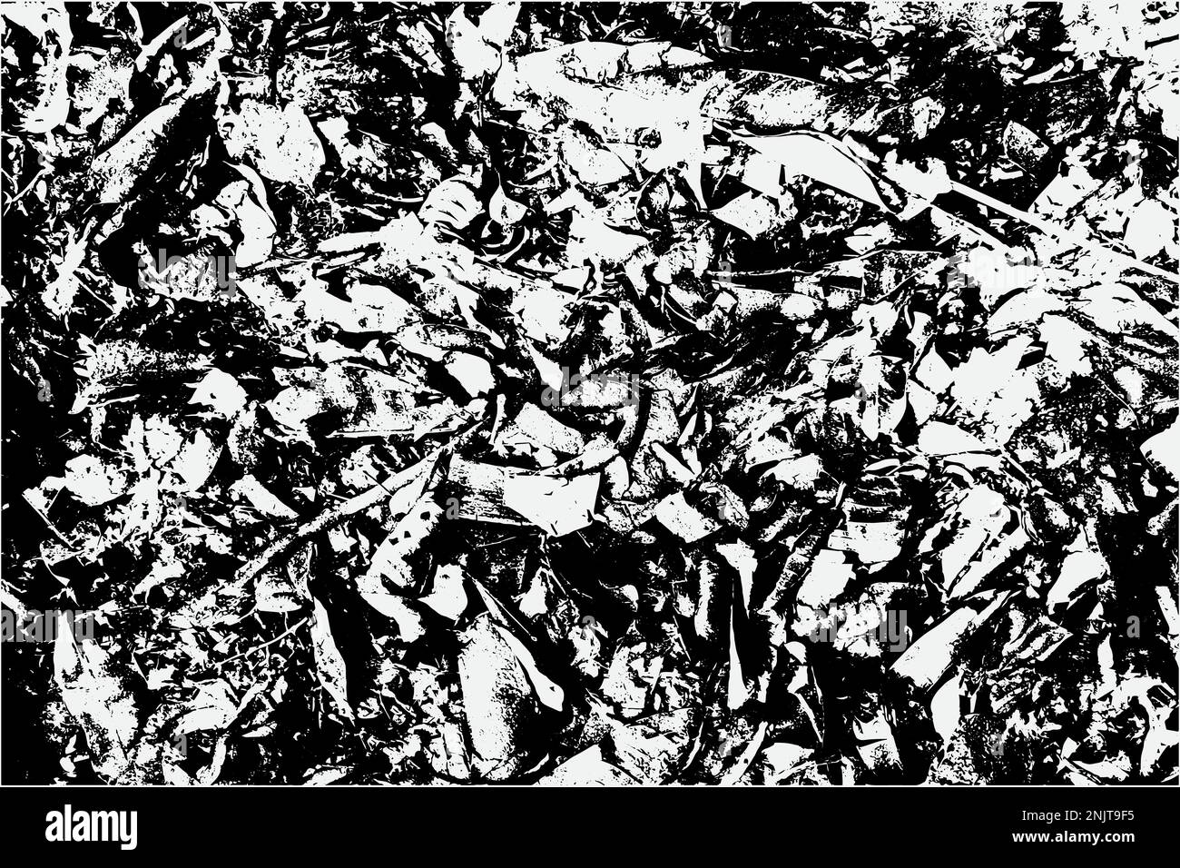 black and white fleck texture, Artistic and natural Texture With Vector ...