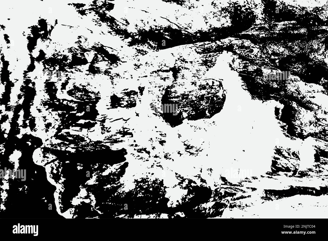 black and white fleck texture, Artistic and natural Texture With Vector ...