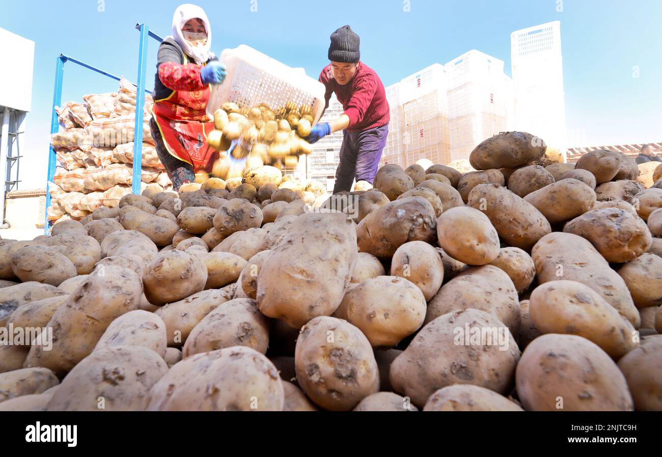 Potato factory china hi-res stock photography and images - Alamy