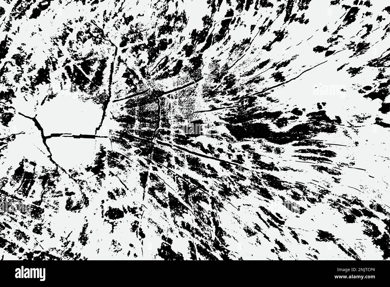 black and white fleck texture, Artistic and natural Texture With Vector ...