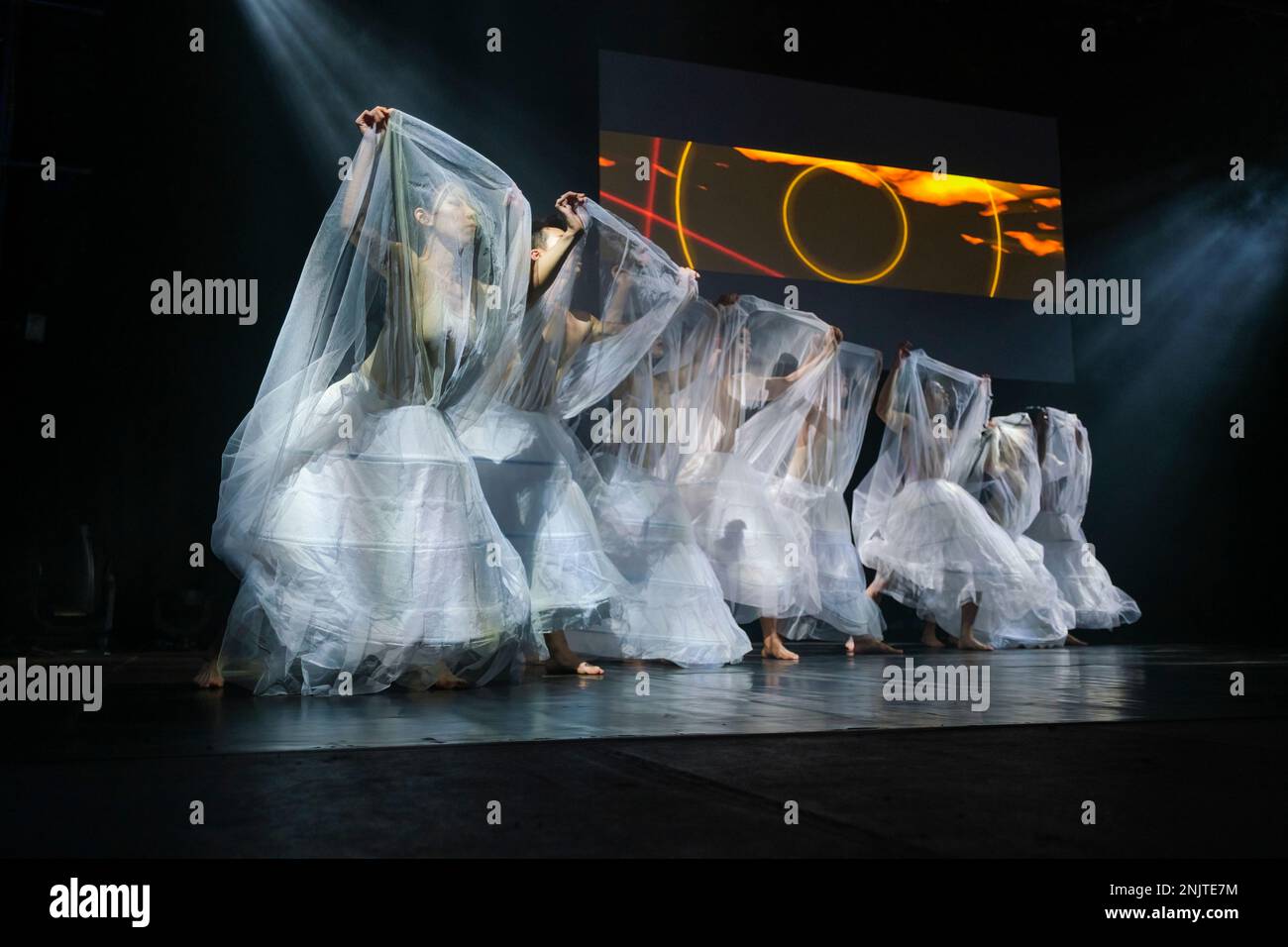 40th anniversary womad festival hi-res stock photography and images - Alamy