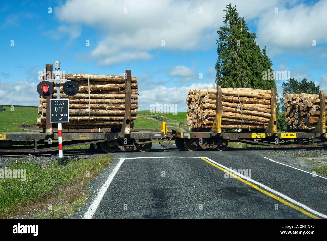 Train transporting logs - Railway crossing Stock Photo - Alamy