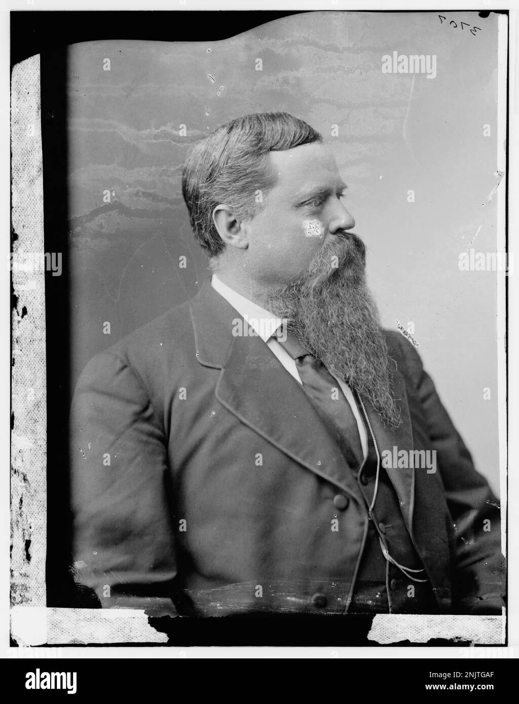 Portrait of General Fitzhugh Lee, Confederate States of America officer ...