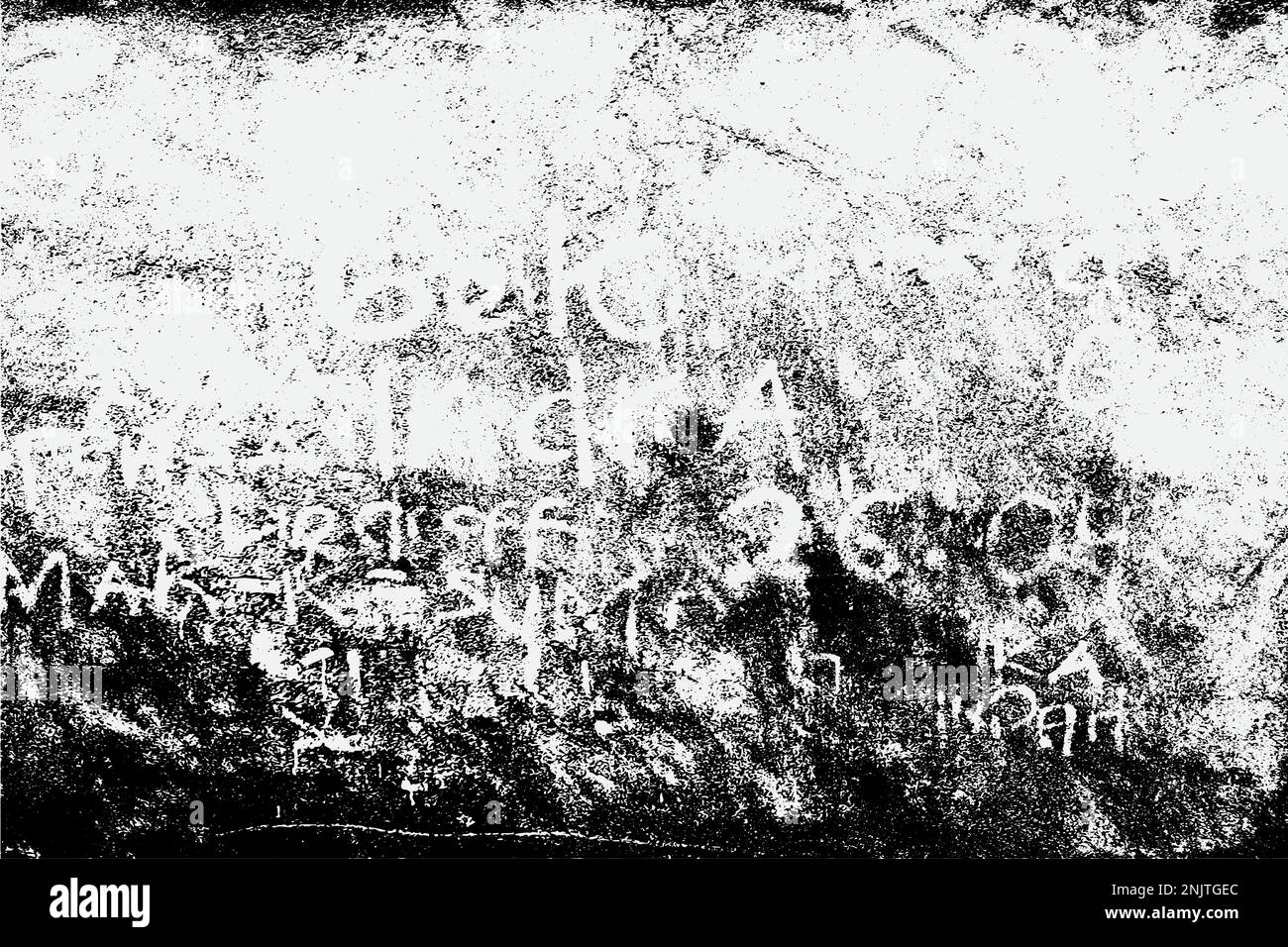 black and white fleck texture, Artistic and natural Texture With Vector ...