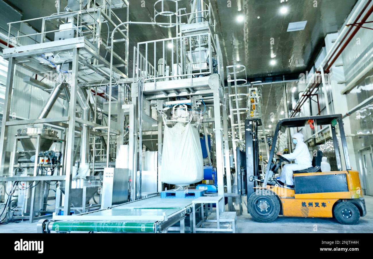 ZHANGYE, CHINA - FEBRUARY 22, 2023 - Workers observe automatic potato ...