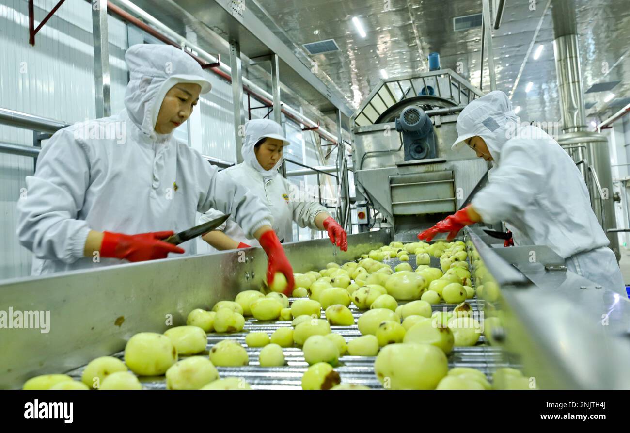 Potato factory china hi-res stock photography and images - Alamy