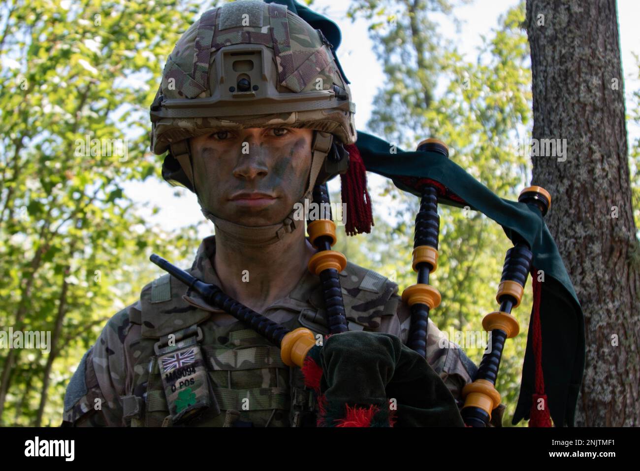 British Army Reserves Lance Cpl. David Malcomson, 2 Royal Irish, 7th ...