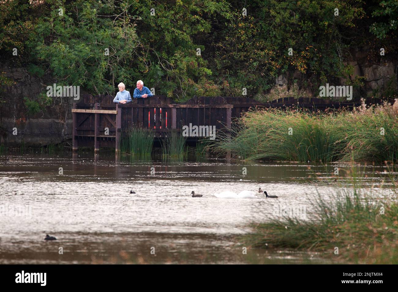 Couple on viewing platform, Embleton Quarry Nature Reserve ...