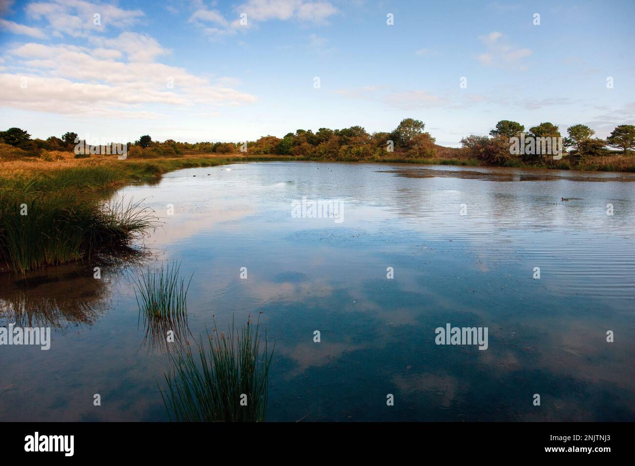 Quarry nature reserve hi-res stock photography and images - Alamy