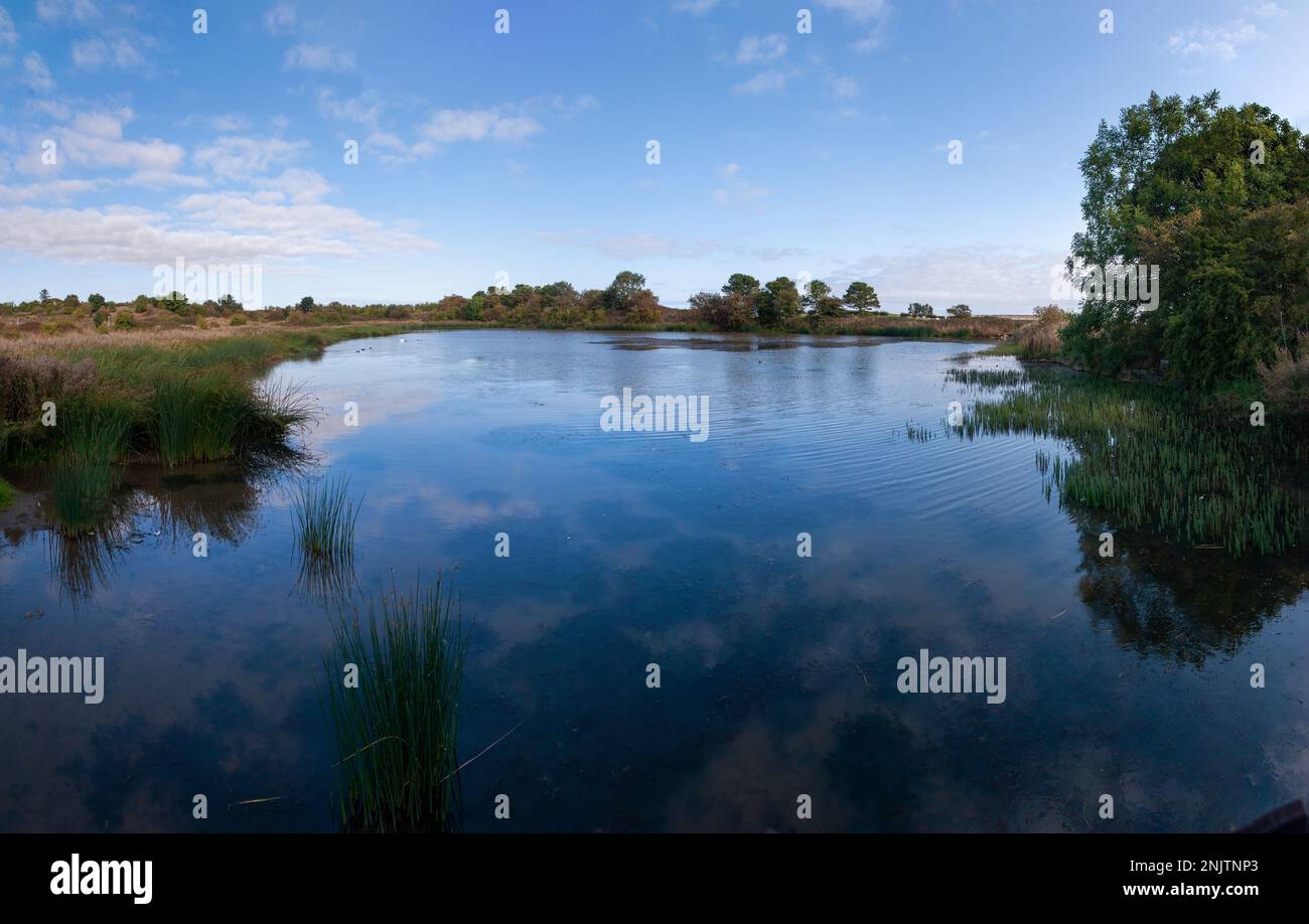 Embleton Quarry Nature Reserve, Northumberland Stock Photo - Alamy