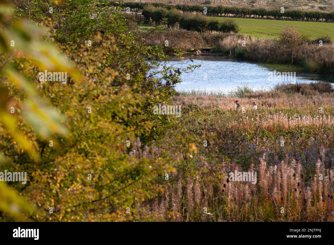 Embleton Quarry Nature Reserve, Northumberland Stock Photo - Alamy