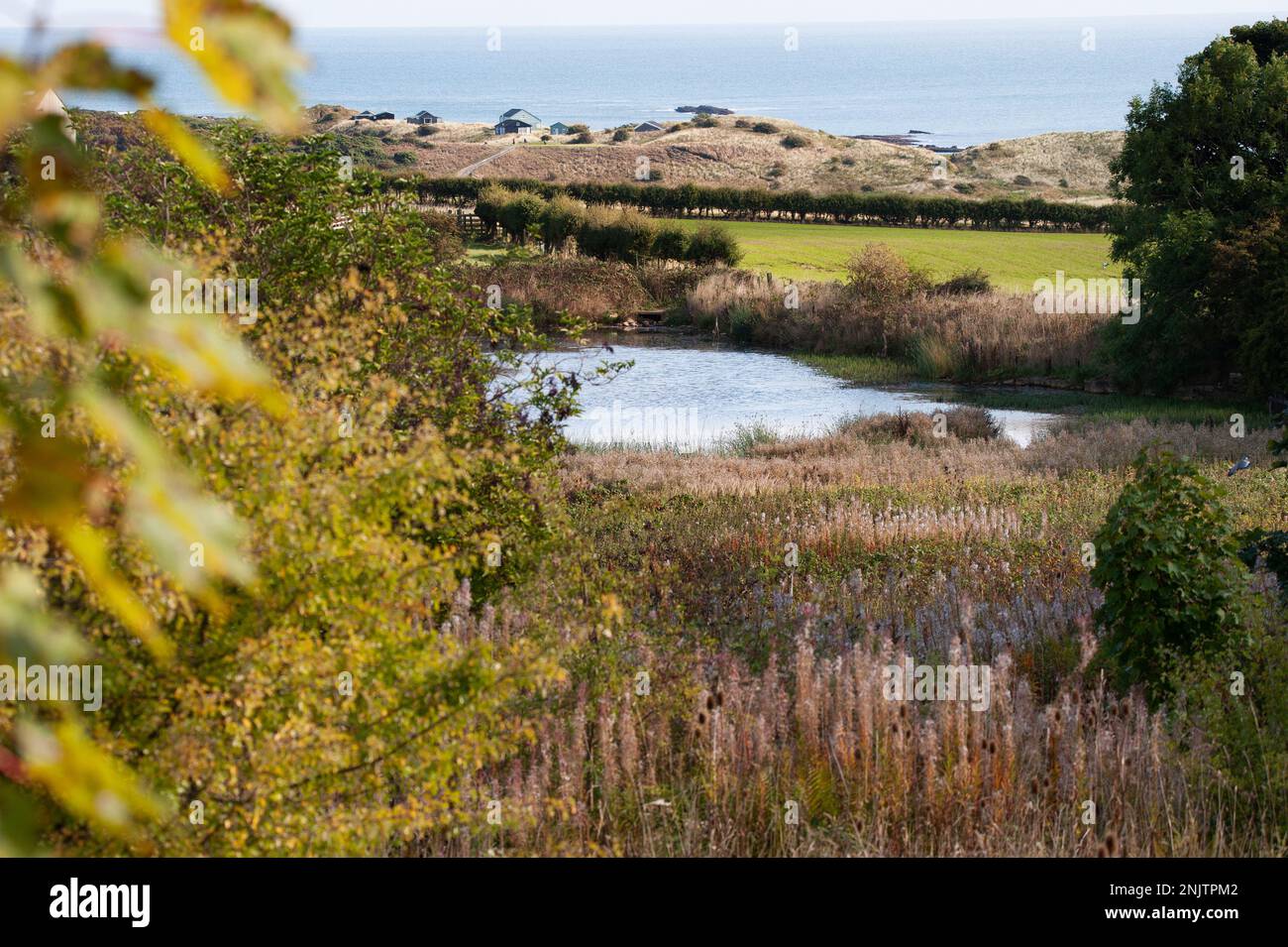Quarry nature reserve hi-res stock photography and images - Alamy