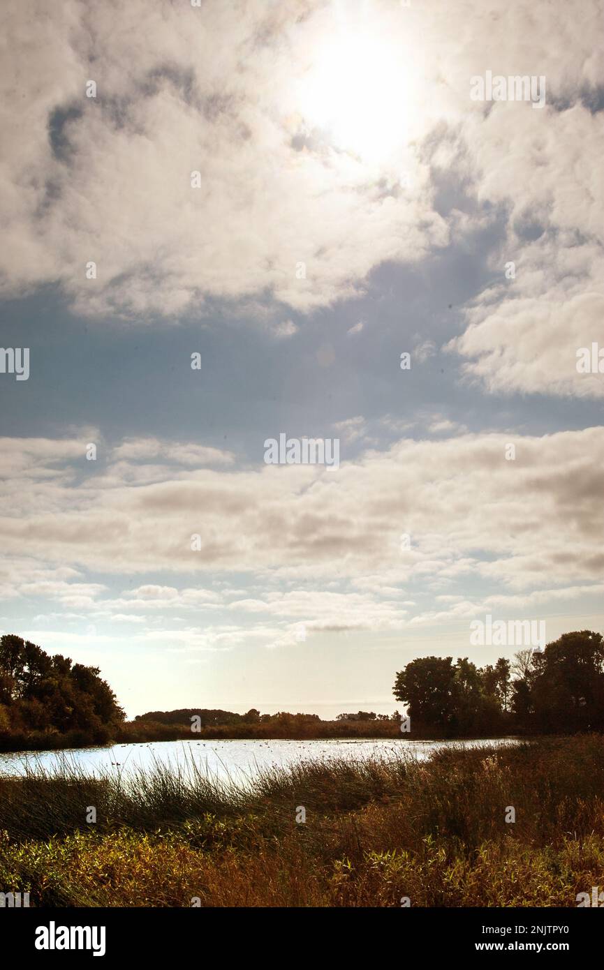Embleton Quarry Nature Reserve, Northumberland Stock Photo - Alamy