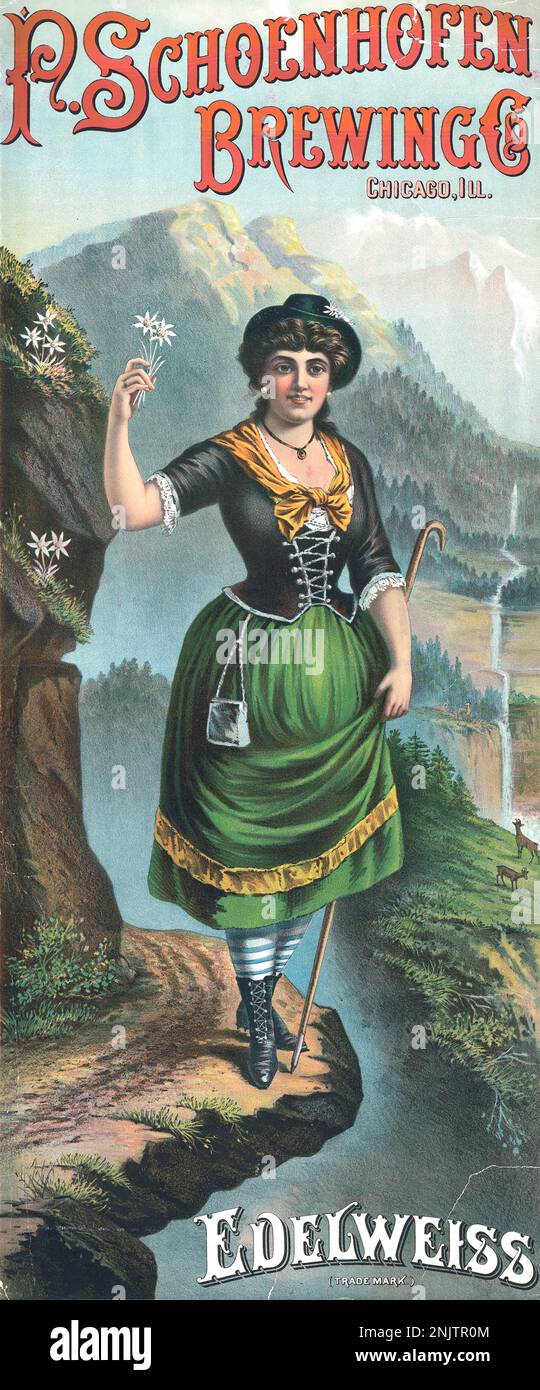 Victorian Advertising Illustration poster for beer Circa 1899 Stock ...