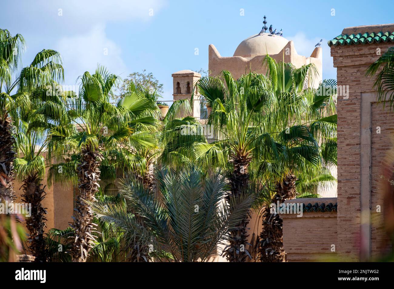 Taroudant district hi-res stock photography and images - Alamy