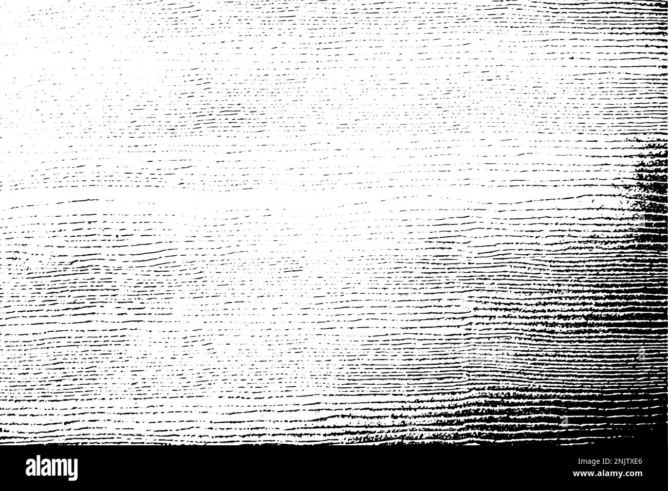 black and white fleck texture, Artistic and natural Texture With Vector ...