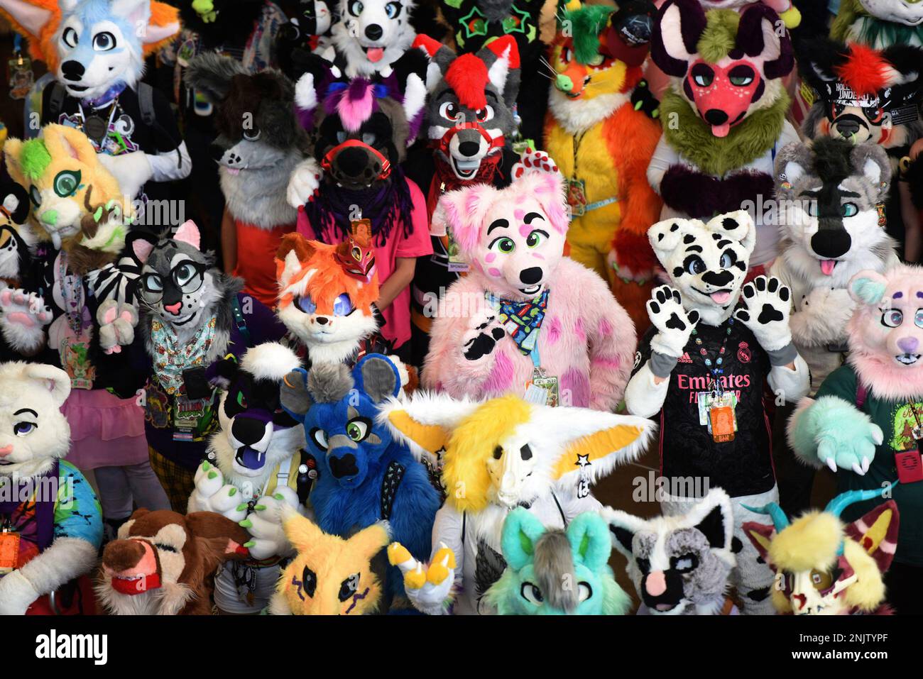 Furries Convention 2022