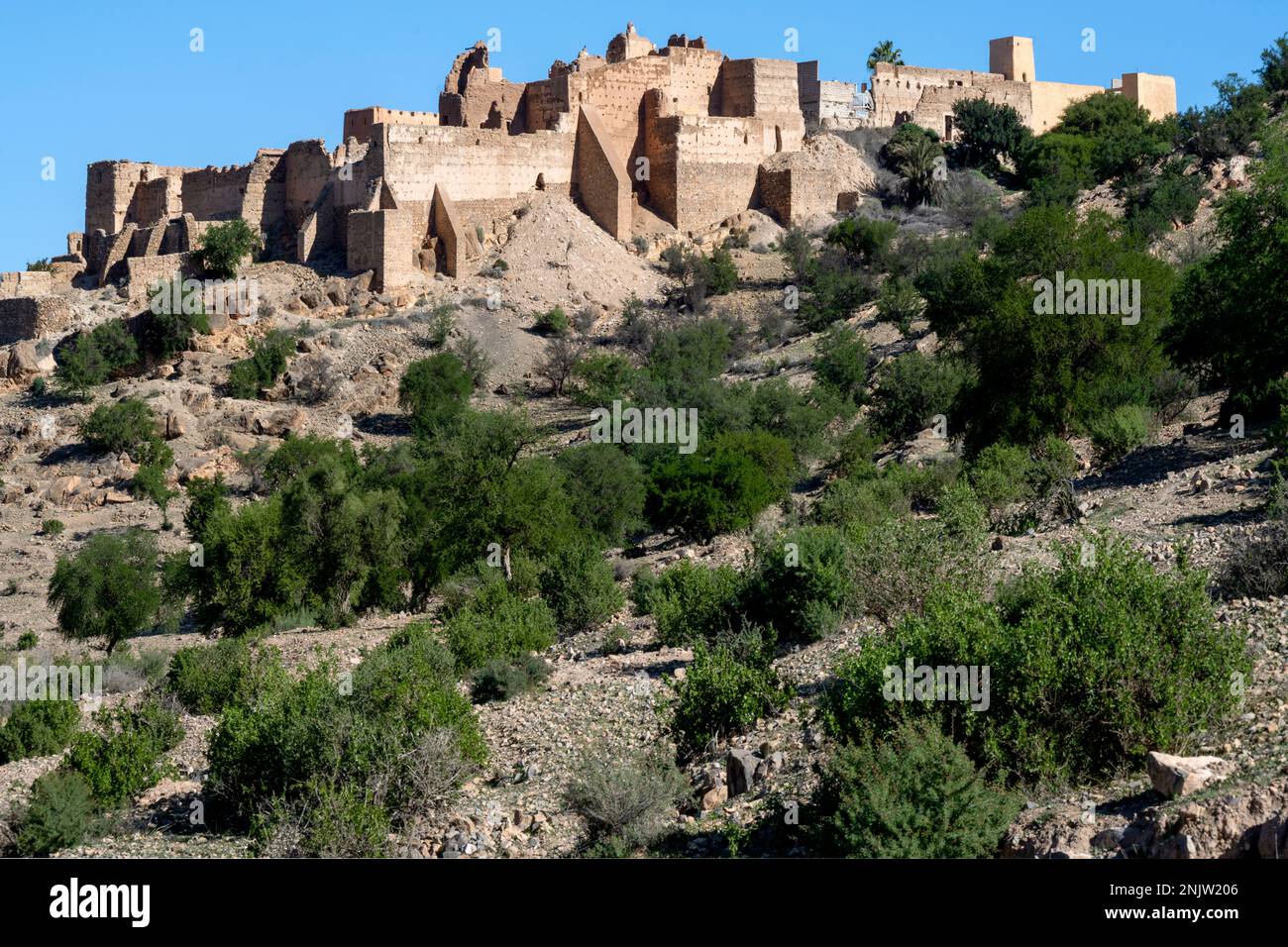 Oase tiout hi-res stock photography and images - Alamy