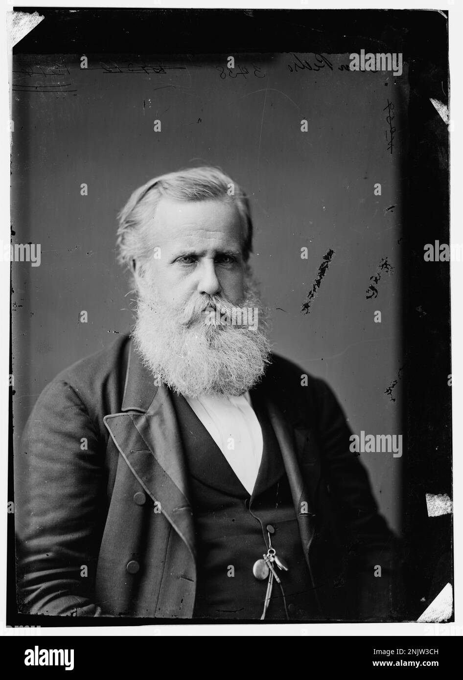 Portrait of Dom Pedro II of Brazil from 1876. The image is part of the ...