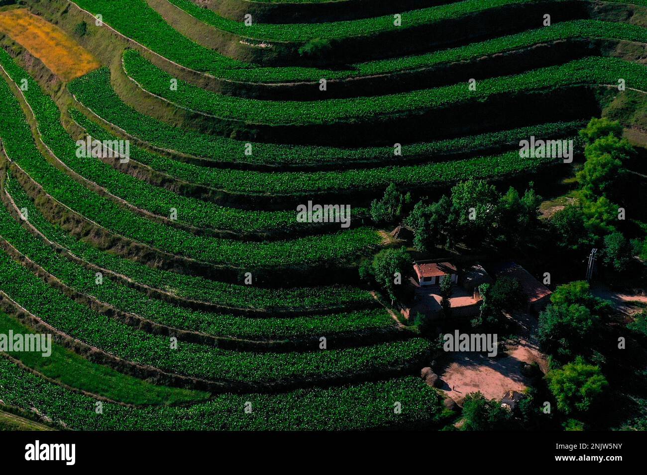 An aerial view of the terrace farmlands in Huining county in northwest ...