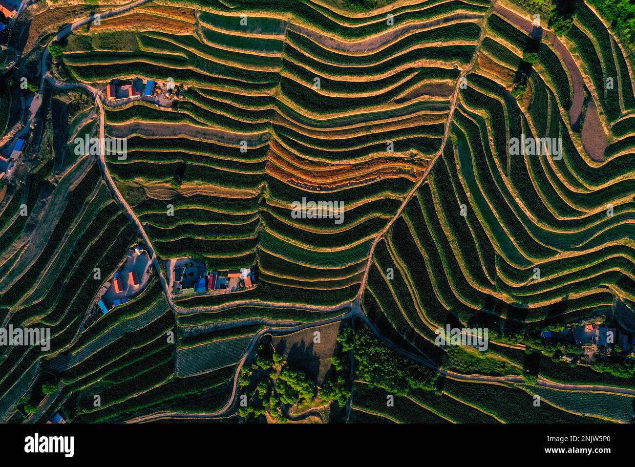 An aerial view of the terrace farmlands in Huining county in northwest ...