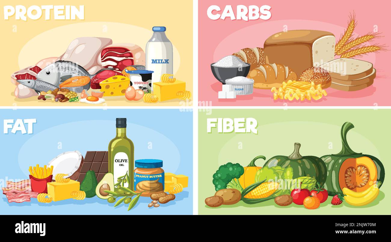The four main food groups illustration Stock Vector Image & Art - Alamy