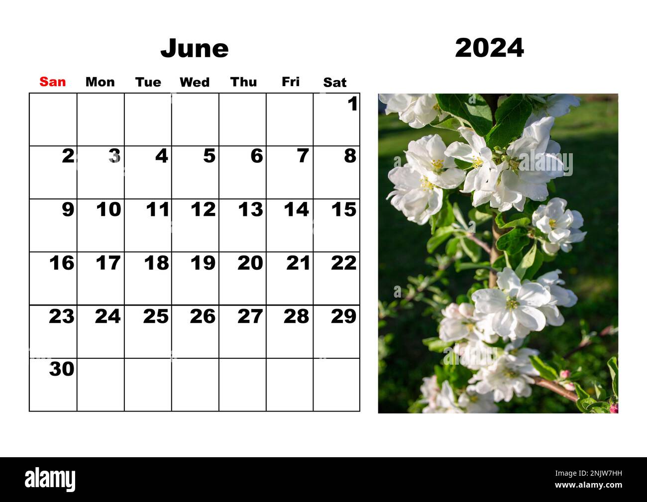 Calendar for 2024, June, with a photo of nature Stock Photo - Alamy