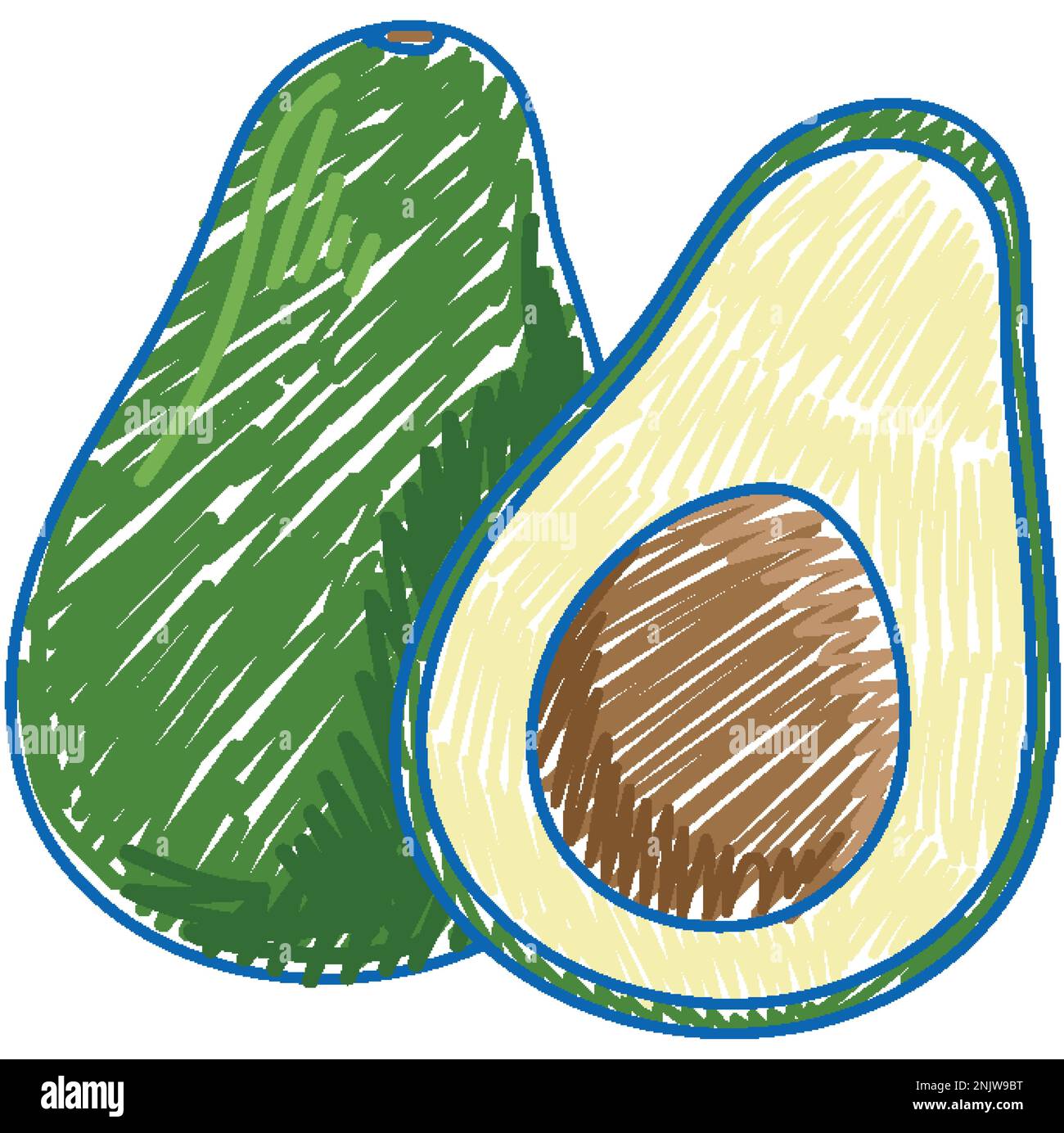 Avocado in pencil colour sketch simple style illustration Stock Vector ...