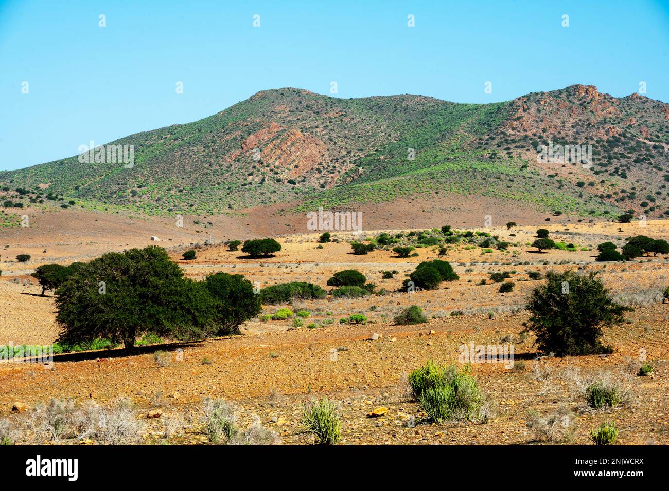 Afrika, Marokko, Landschaft bei Mirleft Stock Photo - Alamy