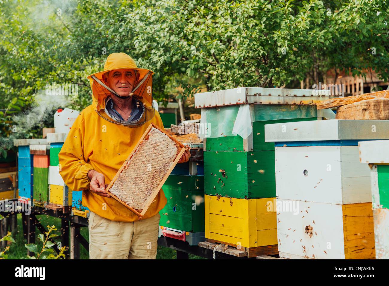Senior beekeeper checking how the honey production is progressing ...