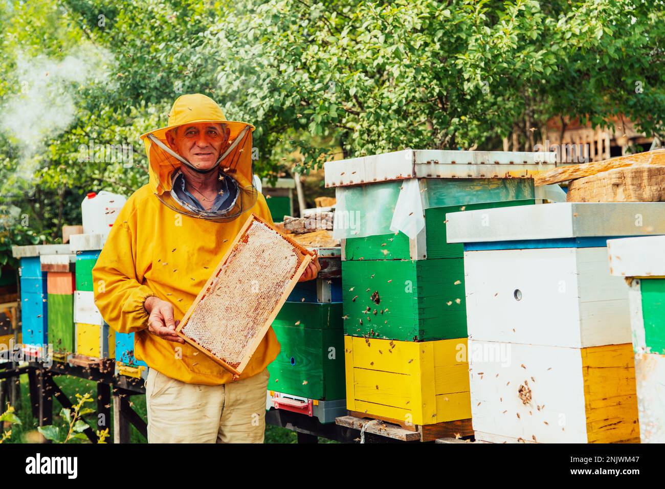 Senior beekeeper checking how the honey production is progressing ...
