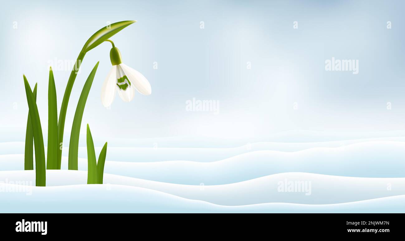 White forest flower close Stock Vector Images - Alamy