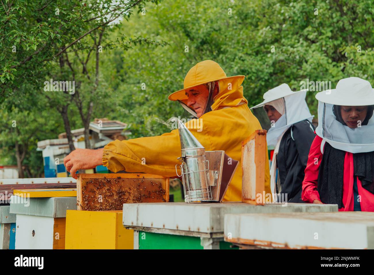 Business partners with an experienced senior beekeeper checking the ...