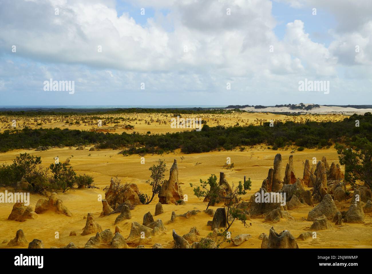 Western Australia National parc- The pinnacles Stock Photo - Alamy