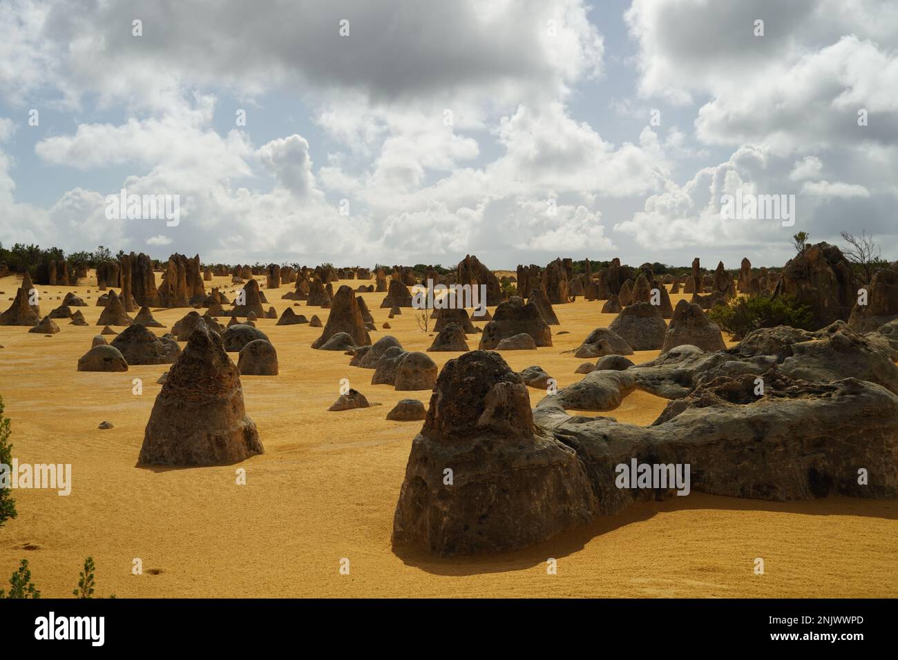 Western Australia National parc- The pinnacles Stock Photo - Alamy