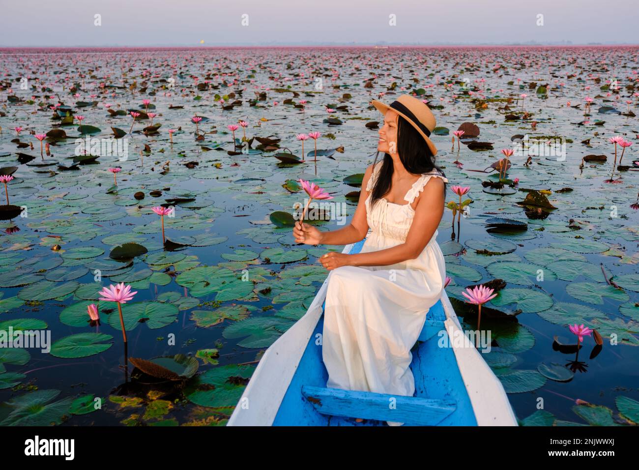 Asian women in a boat at the Beautiful Red Lotus Sea full of pink ...