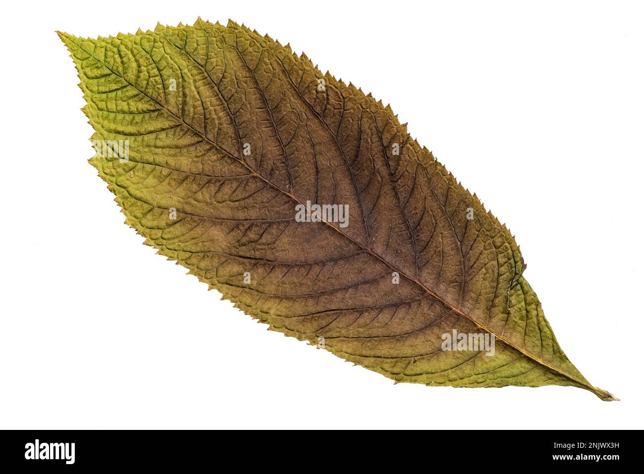 Bright colors on no Cut Out Stock Images & Pictures - Alamy